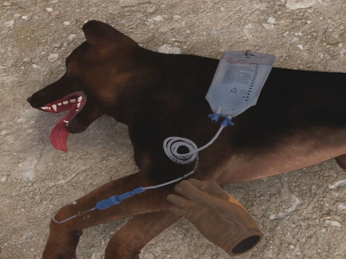 VR Dog Handler Training Set for I/ITSEC Demo | Halldale Group